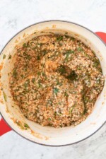 Egyptian Mahshi Kromb (Stuffed Cabbage Rolls) - The Matbakh