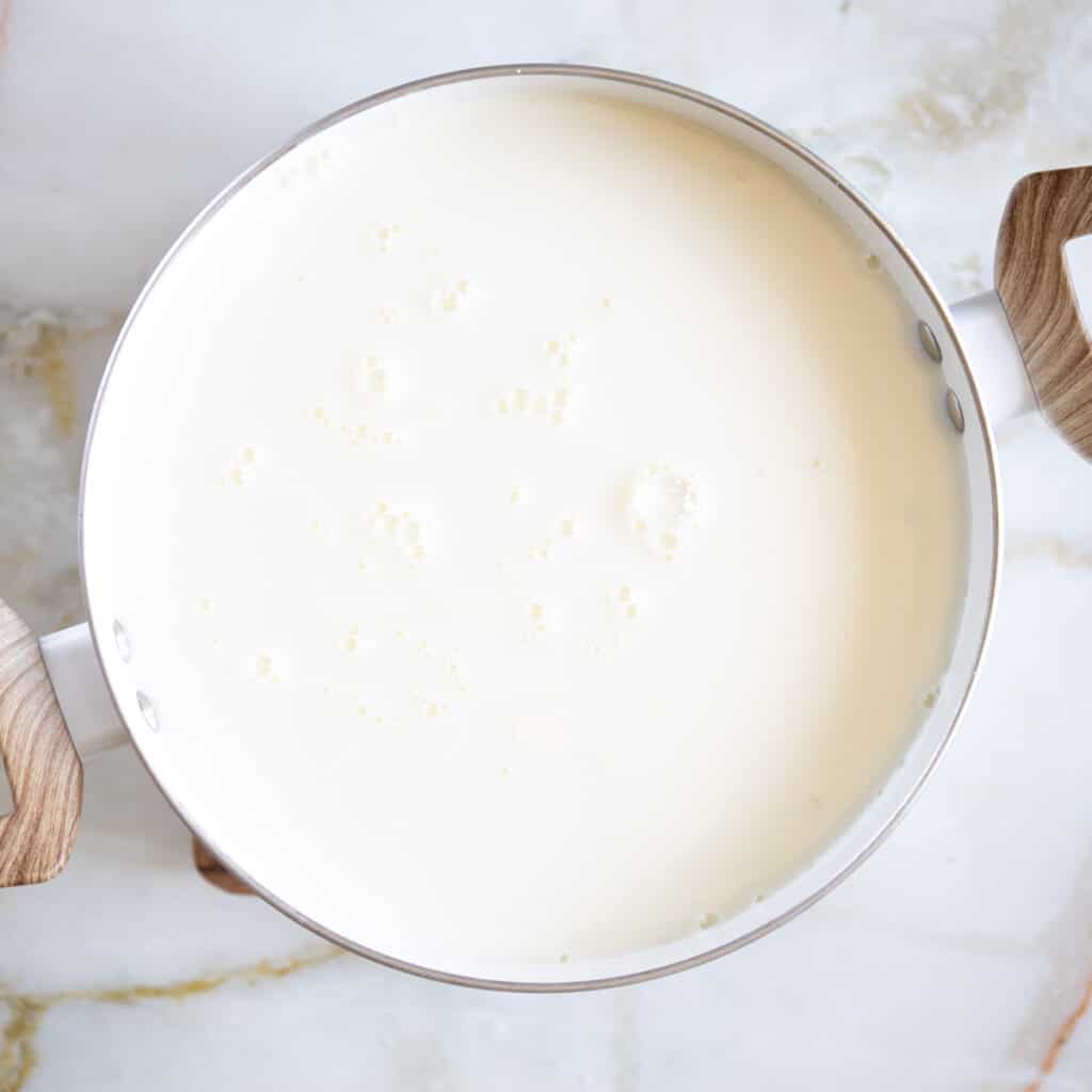 Easy Lebanese Homemade Yogurt (Laban) - The Matbakh