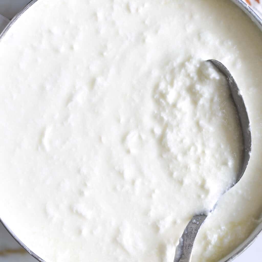 Easy Lebanese Homemade Yogurt (Laban) - The Matbakh