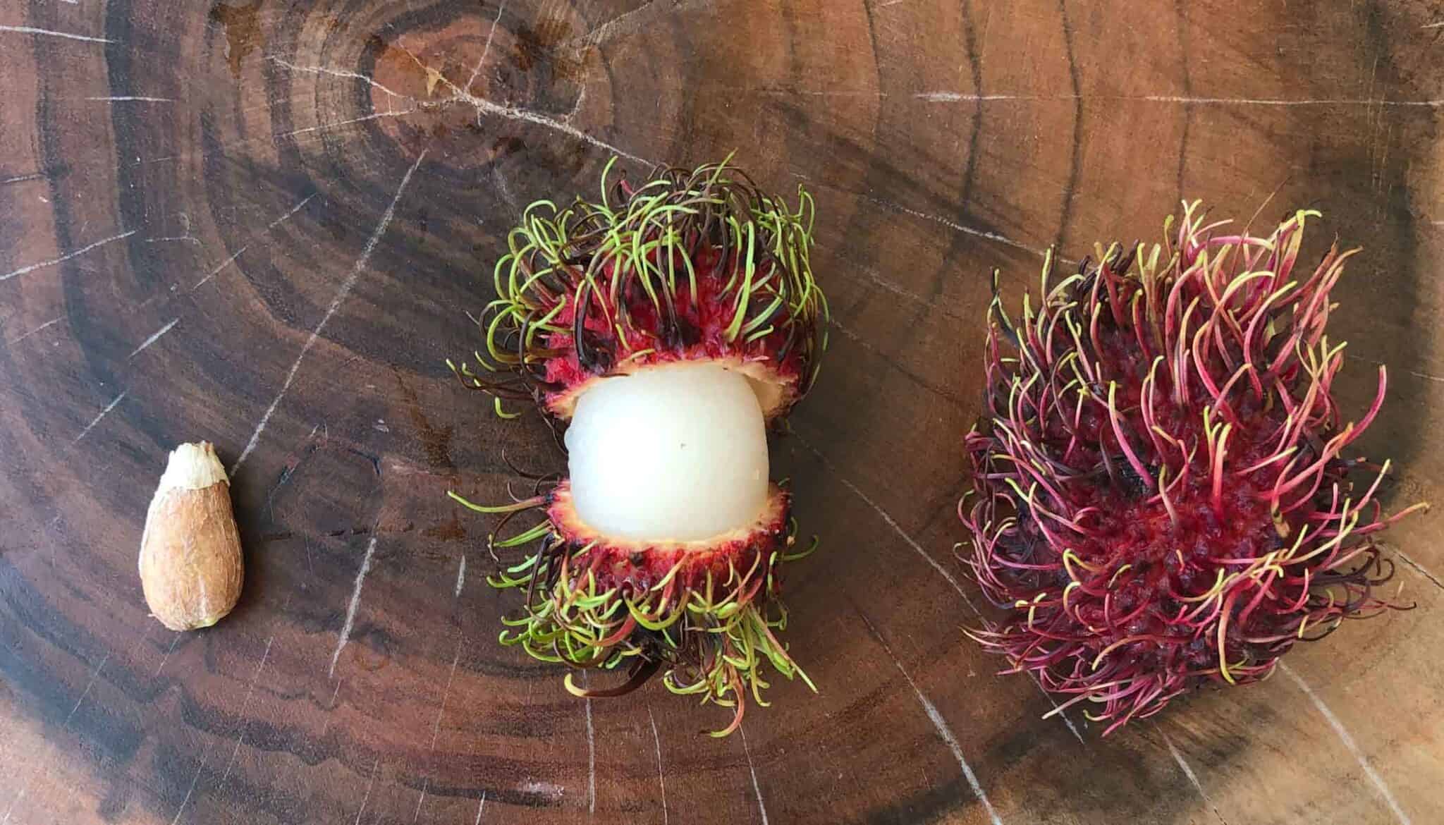 How To Cut and Eat Rambutan Fruit - The Matbakh