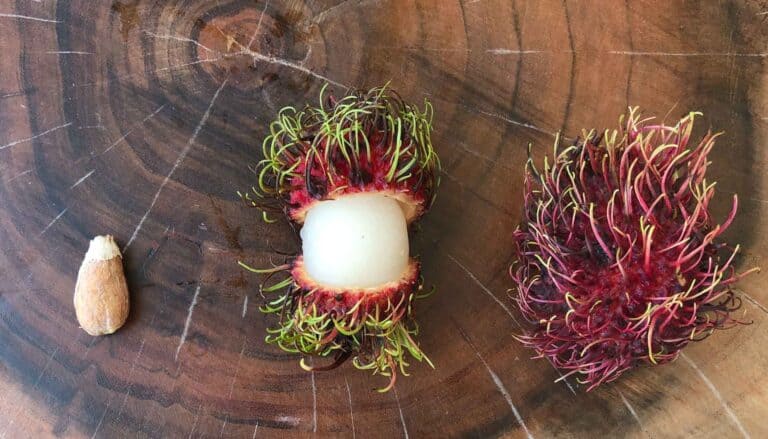 How To Cut and Eat Rambutan Fruit - The Matbakh