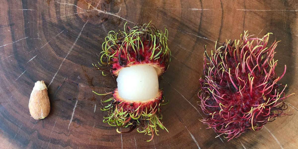 How To Cut and Eat Rambutan Fruit - The Matbakh