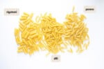 Ziti Pasta vs Rigatoni and Penne - What's the Difference? - The Matbakh